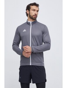 Hanorace bărbați | Colecții noi și reduceri - GLAMI.ro