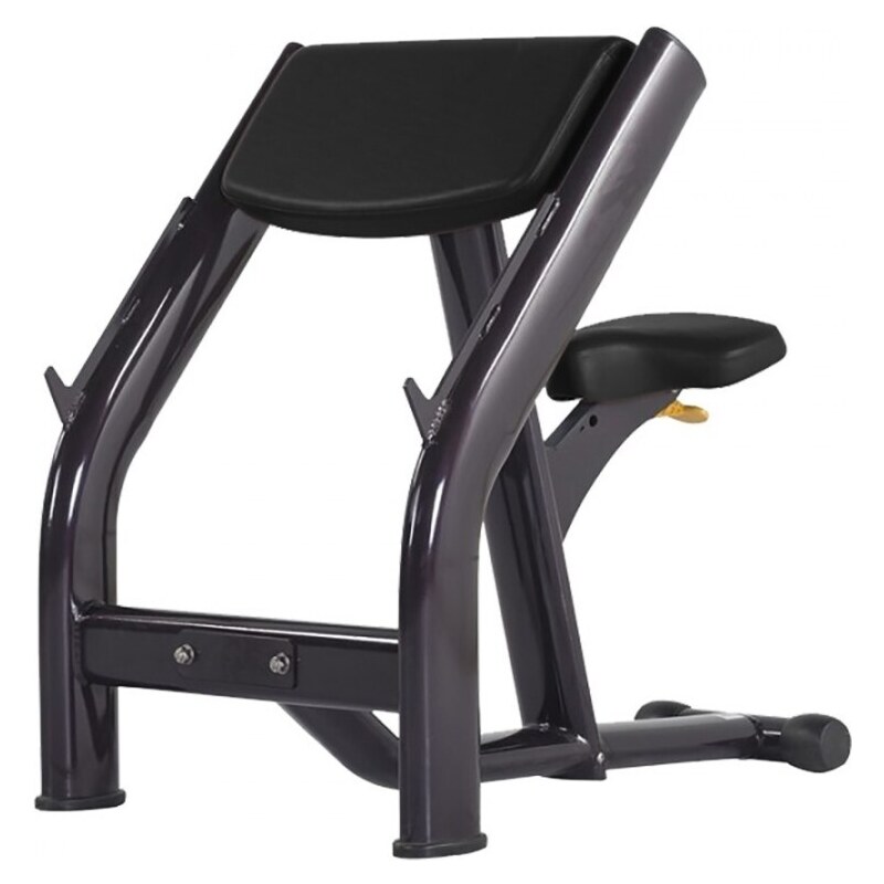 Banca Scott pentru biceps H-040, MS Fitness - GLAMI.ro